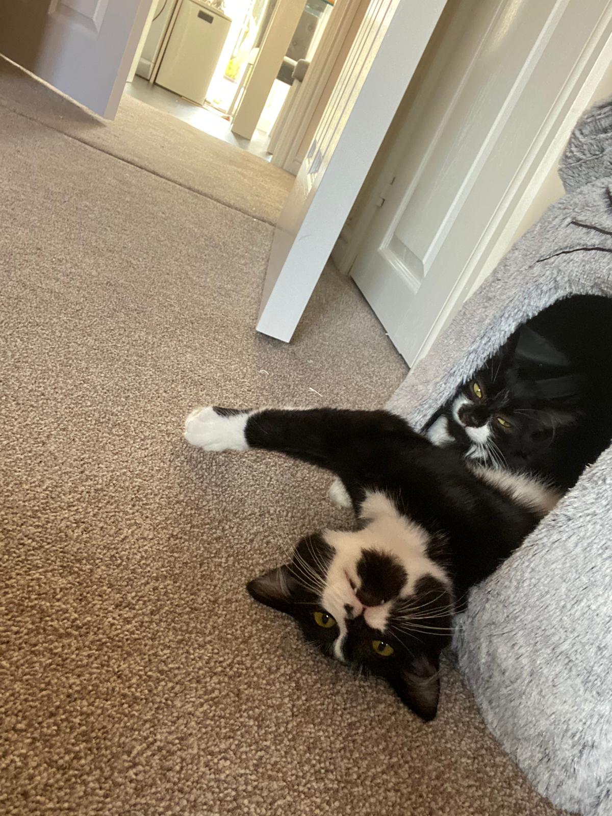 A Day In The Life Of - Amy Corfield - Kan Do Ventures